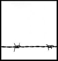 Lower barriers to entry applies almost everywhere | SpreadingScience